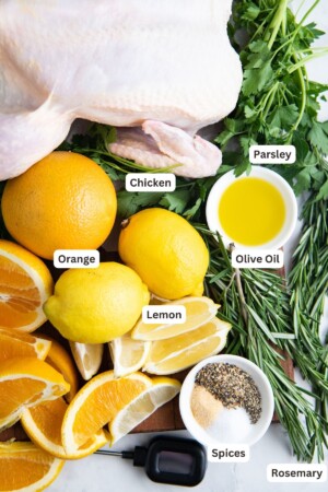 Citrus Roasted Chicken Recipe | Easy Dinner Ideas