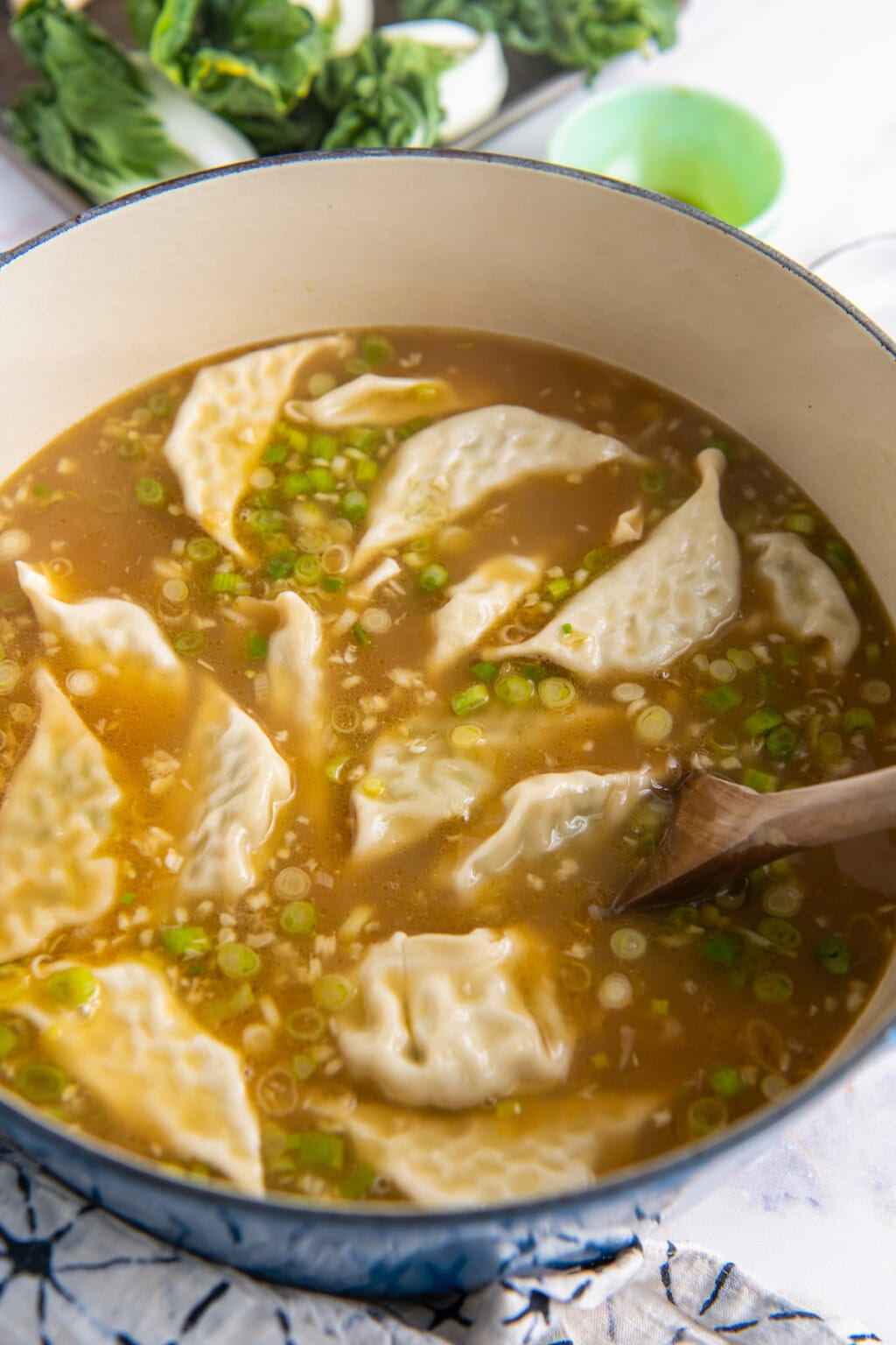 Potsticker Soup | Easy Dinner Ideas