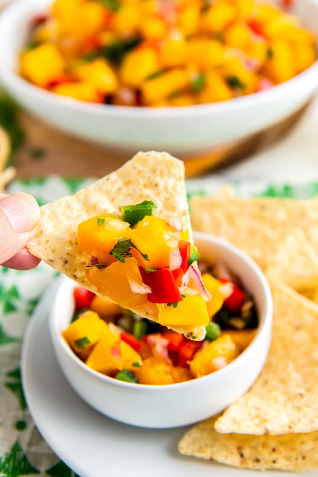 Mango Salsa Recipe | Easy Dinner Ideas