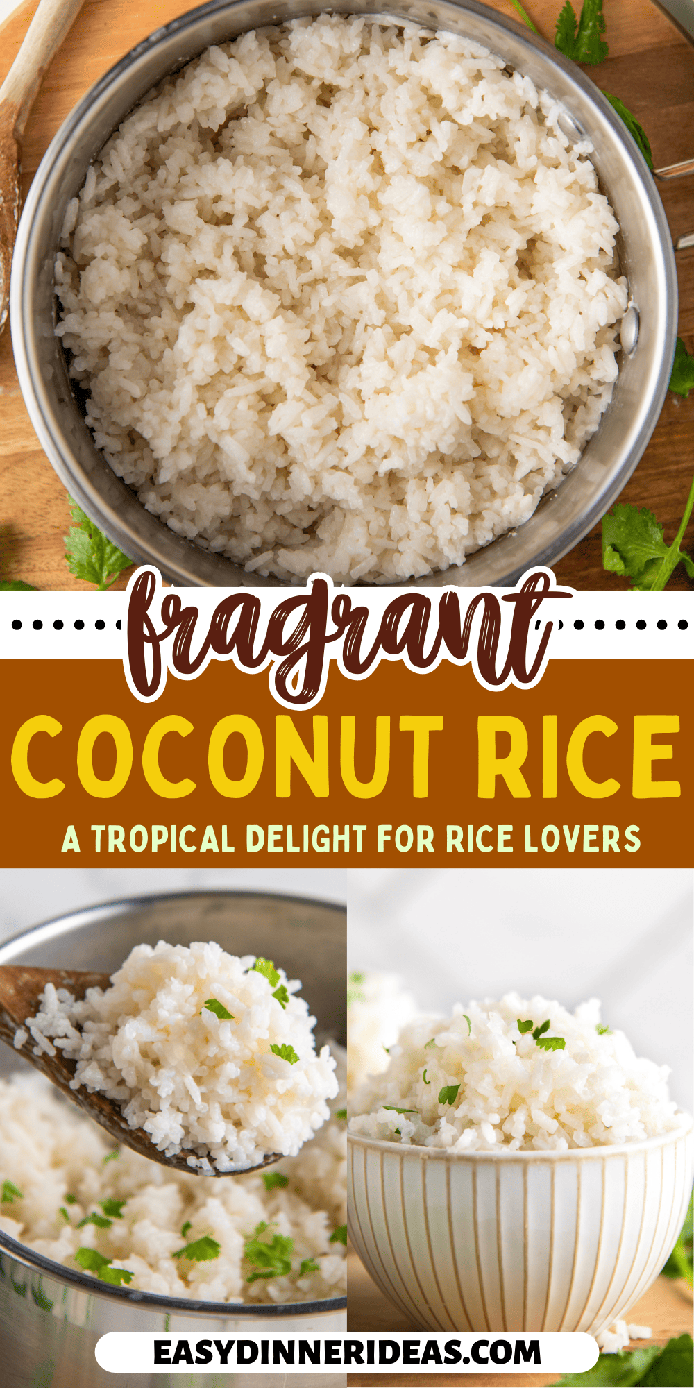 Fluffy Coconut Rice Recipe | Easy Dinner Ideas