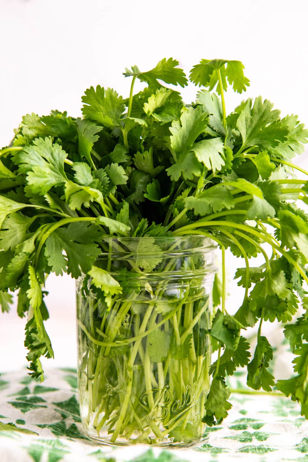 How to Store Cilantro | Easy Dinner Ideas