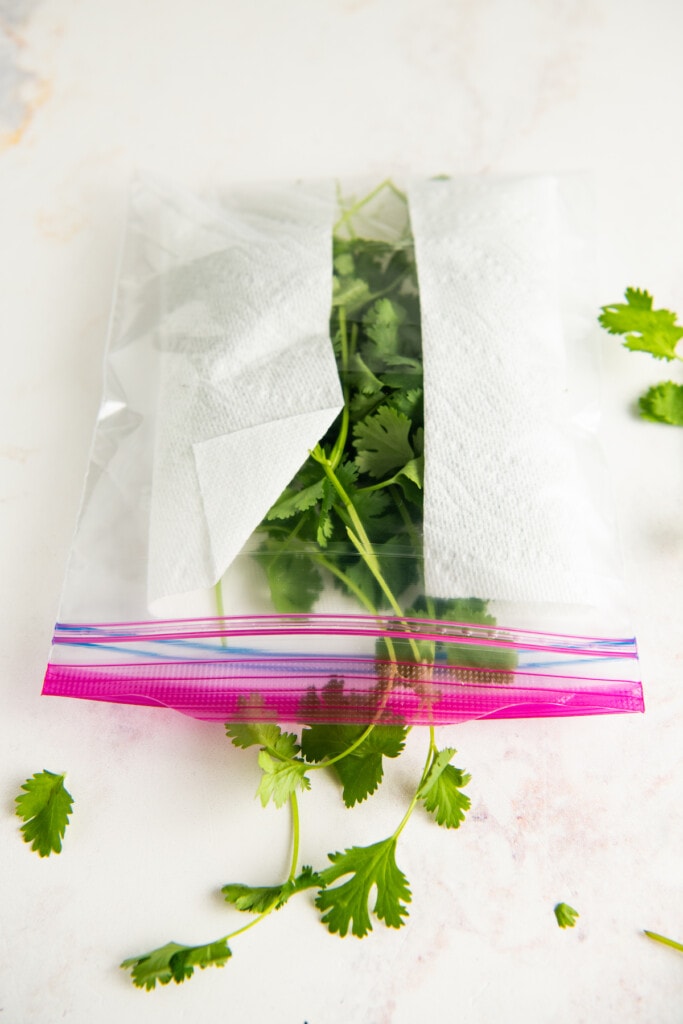 How to Store Cilantro | Easy Dinner Ideas