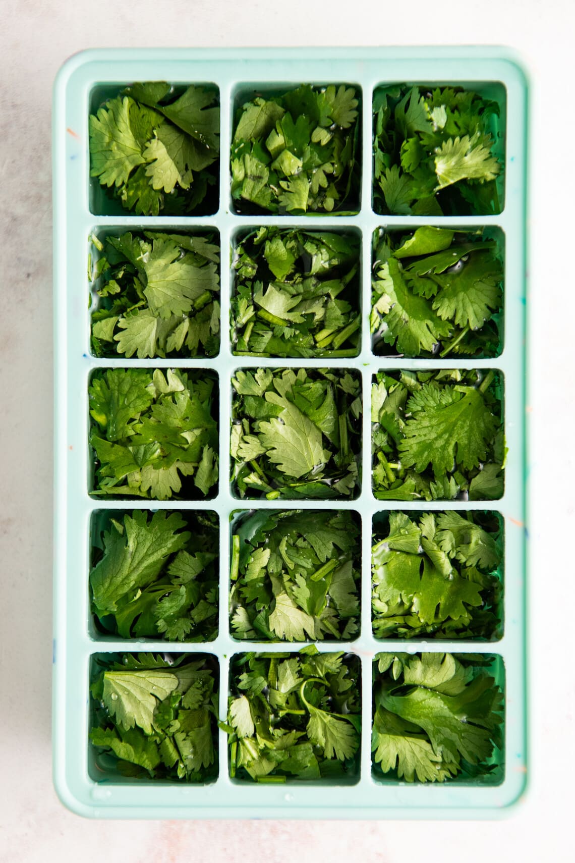 How to Store Cilantro | Easy Dinner Ideas