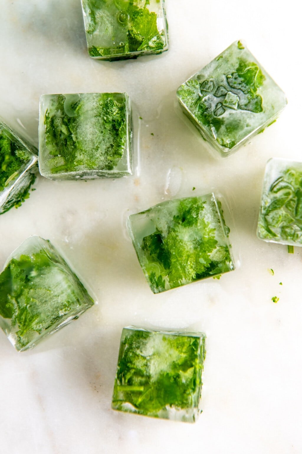 How to Store Cilantro | Easy Dinner Ideas