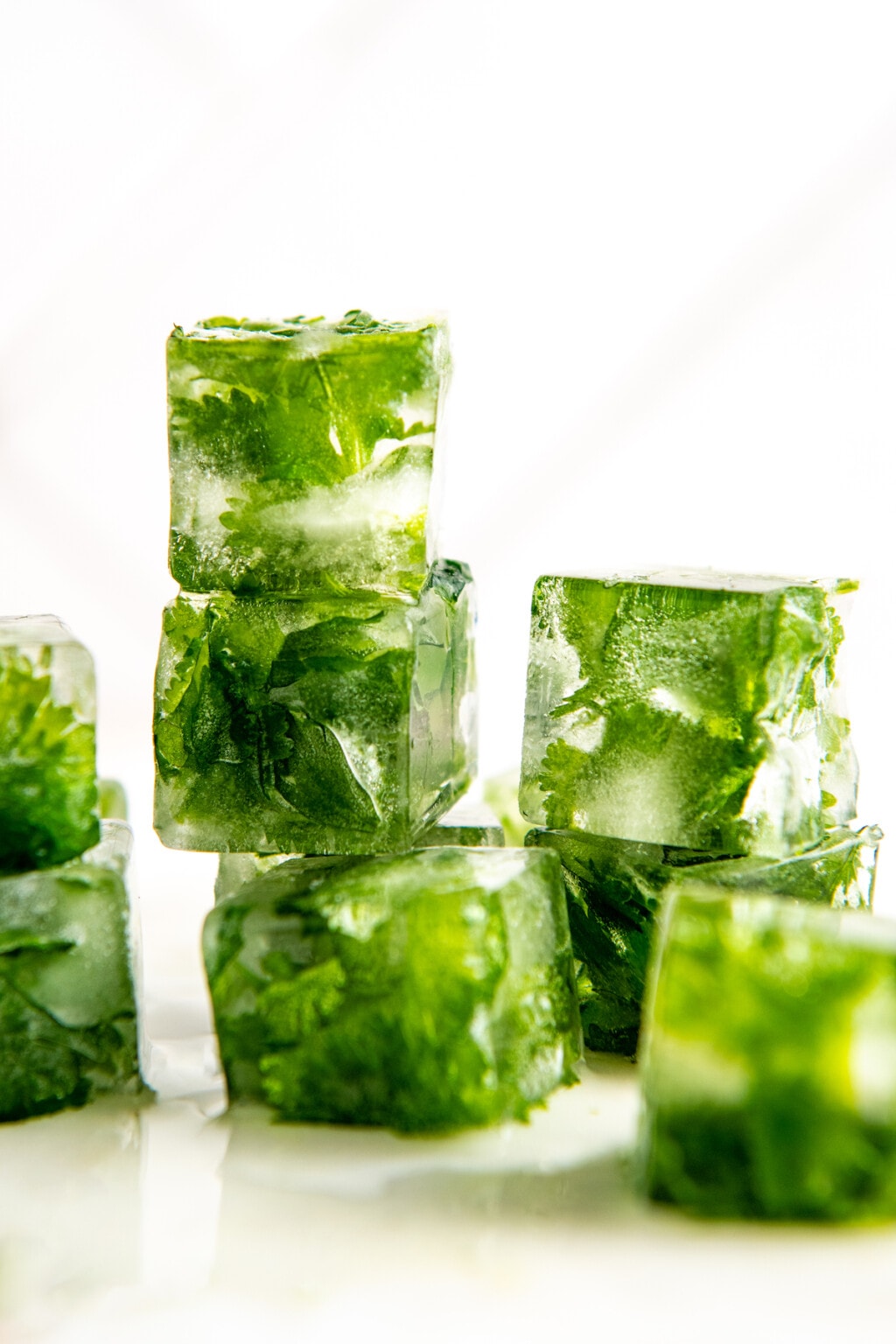 How to Store Cilantro | Easy Dinner Ideas