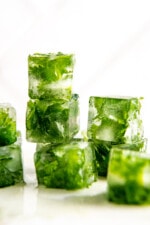 How to Store Cilantro | Easy Dinner Ideas