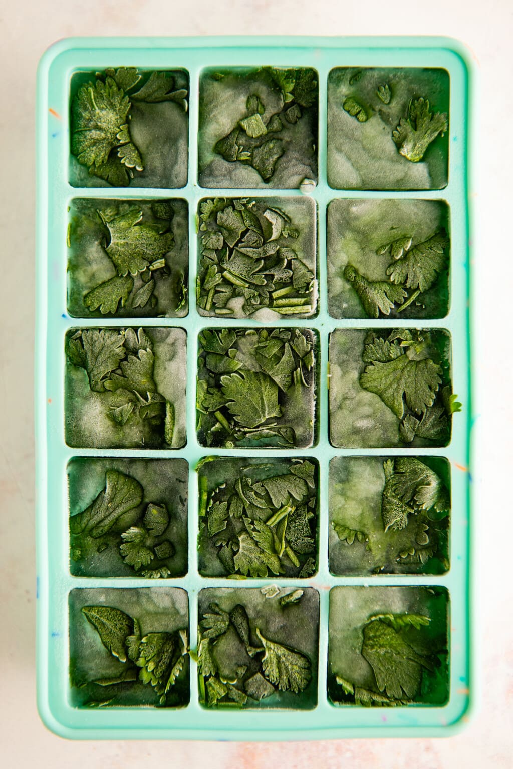 How to Store Cilantro | Easy Dinner Ideas