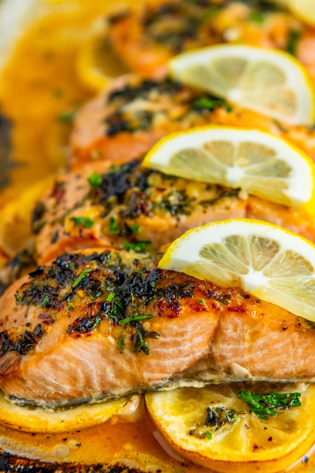 Lemon Garlic Salmon | Easy Dinner Ideas